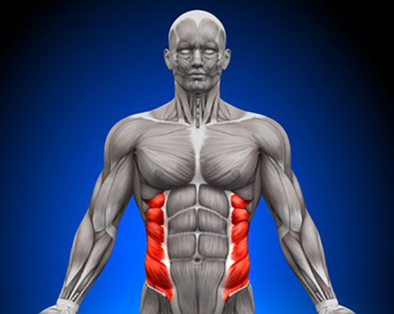 How to Develop Usable Abs - 3 Part Training Series - RBT